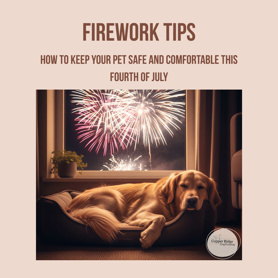 Dogs and Fireworks: What You Should Know - Copper Ridge Dog Training